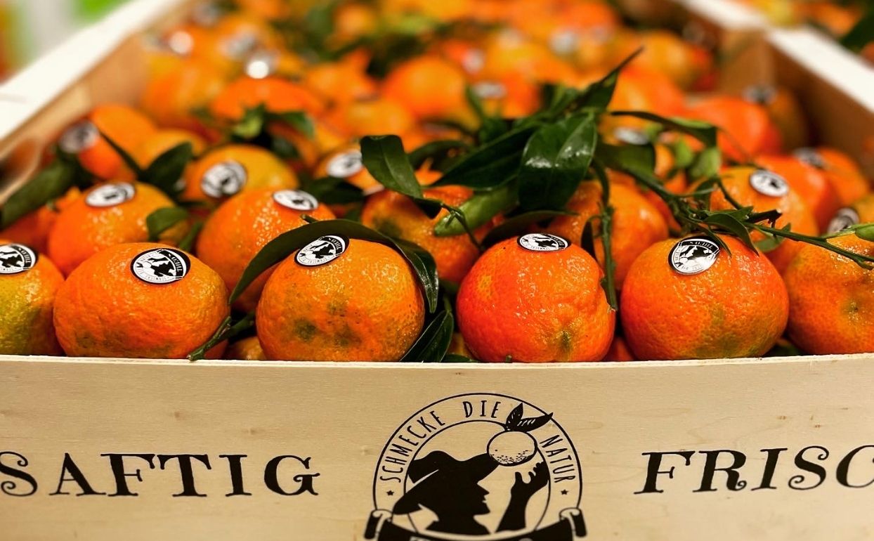 Unsere Eigenmarken – Entdecken Sie die Frische | Frischebrüder